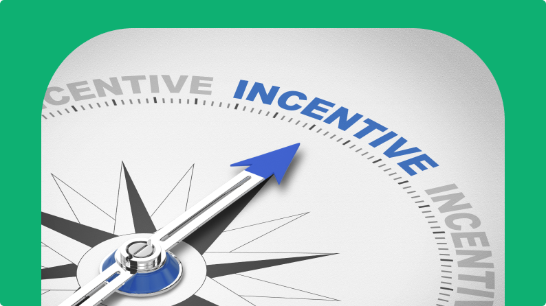 Channel Partner Incentive Program Guide